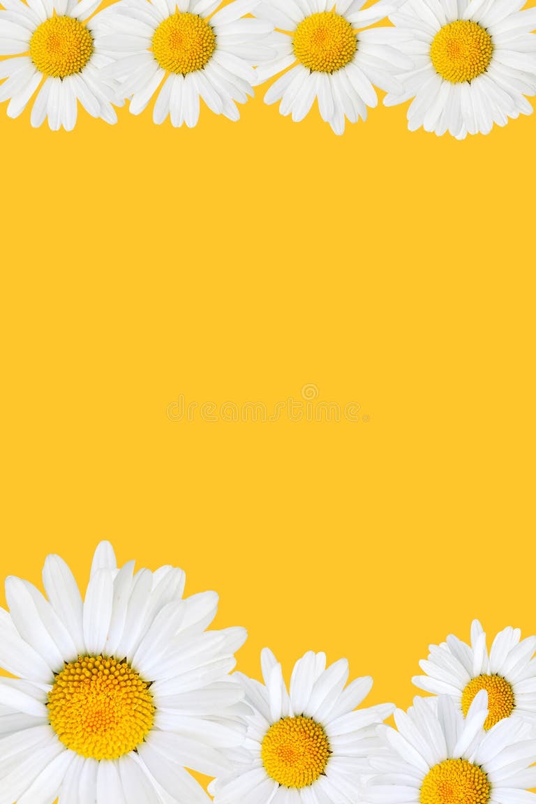 23,464 Daisy Frame Stock Photos - Free & Royalty-Free Stock Photos from ...