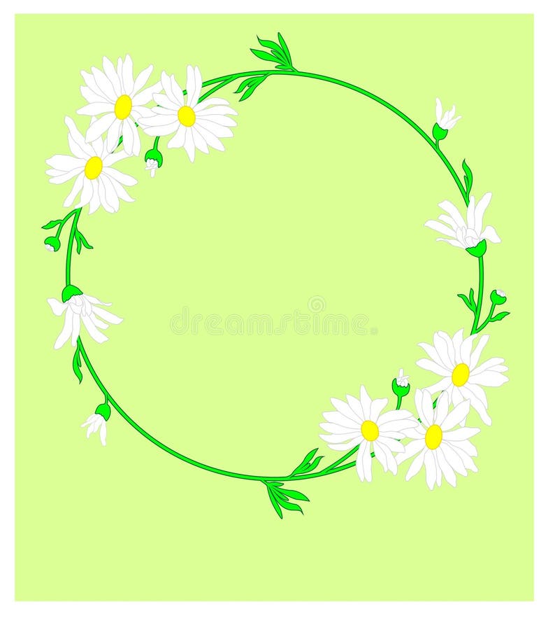 Daisy frame stock vector. Illustration of petal, frame - 8762050
