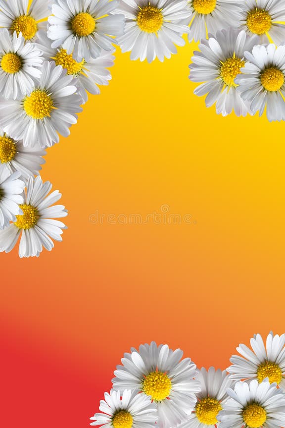 23,464 Daisy Frame Stock Photos - Free & Royalty-Free Stock Photos from ...