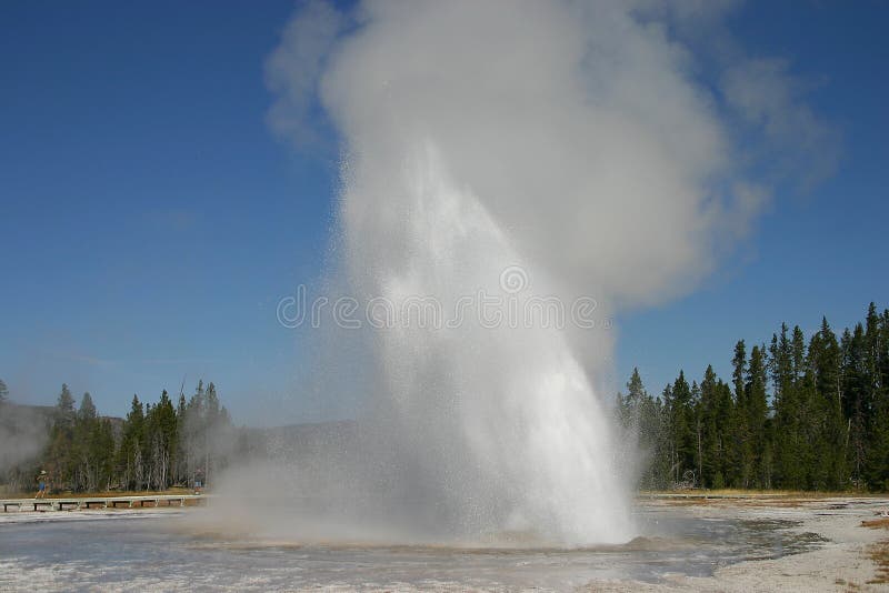 Daisy Geyser Erupts stock photo. Image of yellowstone, geyser - 812148