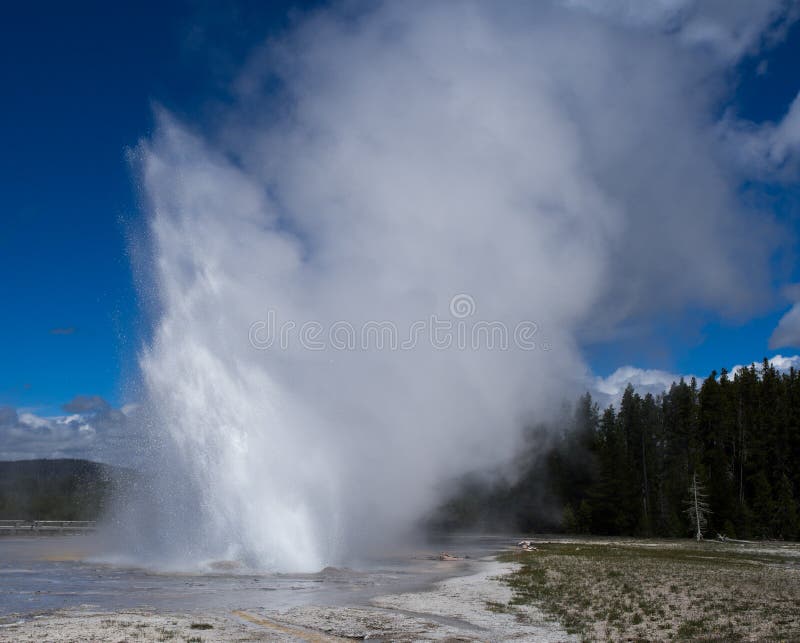 Yellowstone Daisy Geyser Stock Photos - Free & Royalty-Free Stock ...