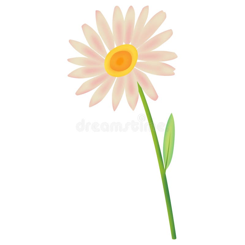 A Daisy Isolated on a White Background in a Hand-drawn Gradient Color ...