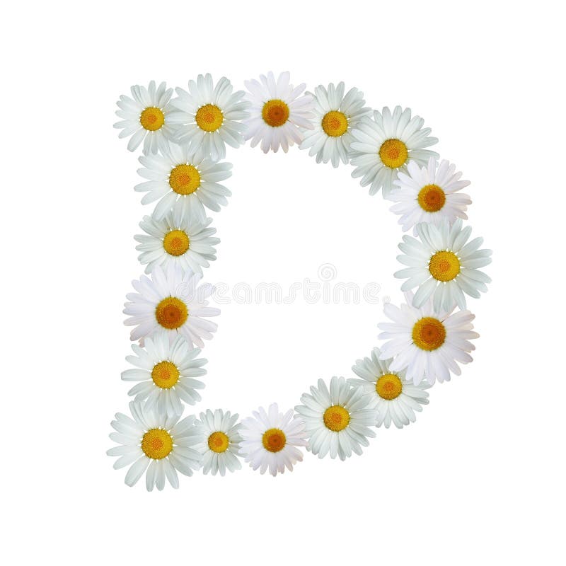 Daisy Letter D stock illustration. Illustration of font - 85439914