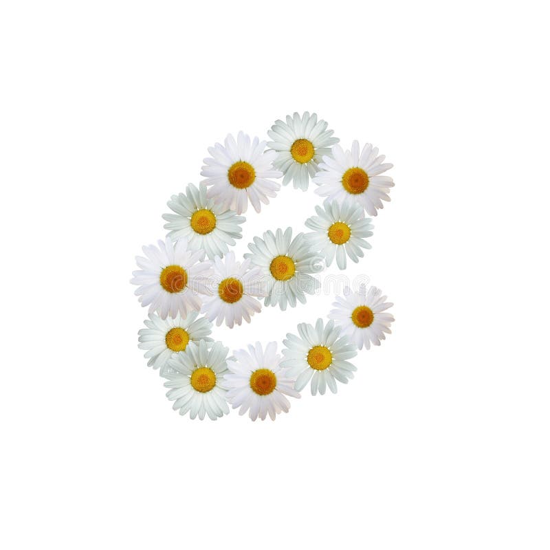 Daisy Letter E stock illustration. Illustration of banner - 85439938