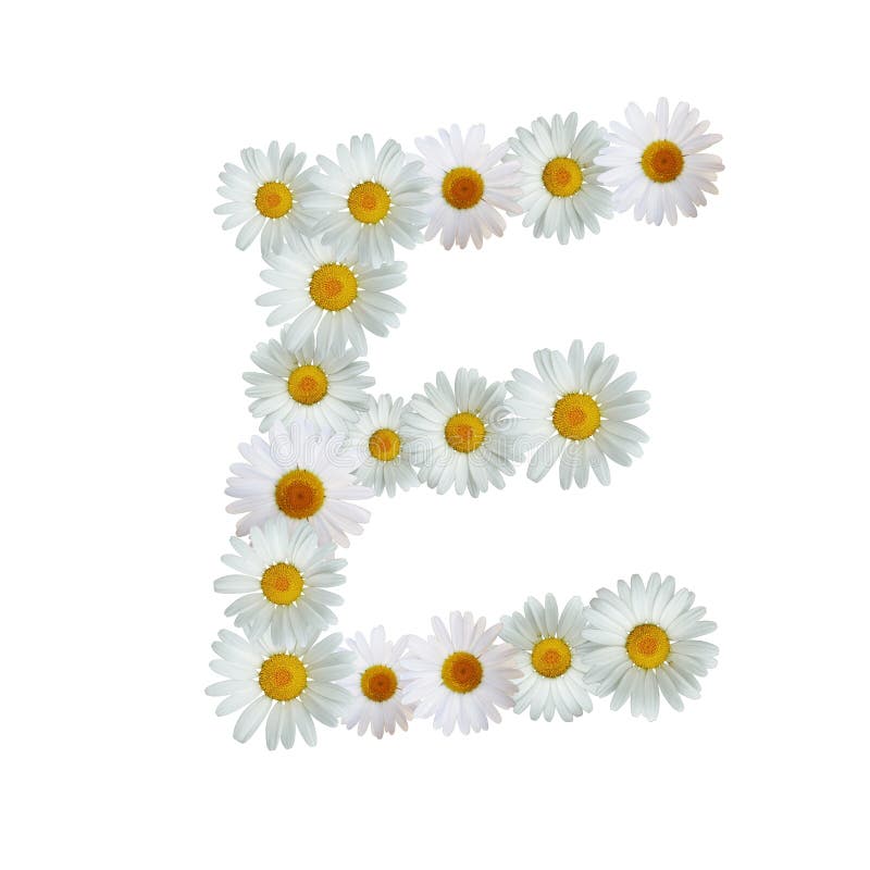 Daisy Letter E stock illustration. Illustration of flora - 85439996