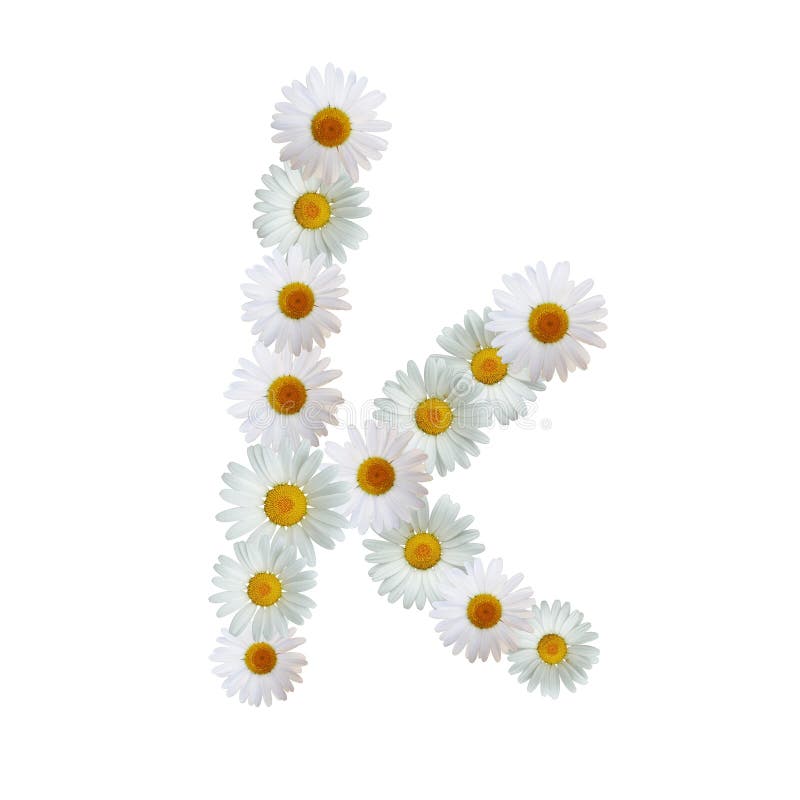 Daisy Letter K stock illustration. Illustration of natural - 85439928