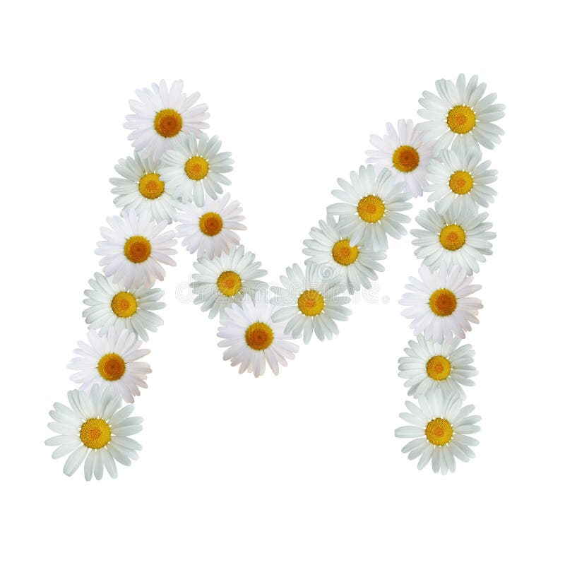 Daisy Letter M stock illustration. Illustration of baby - 85439984