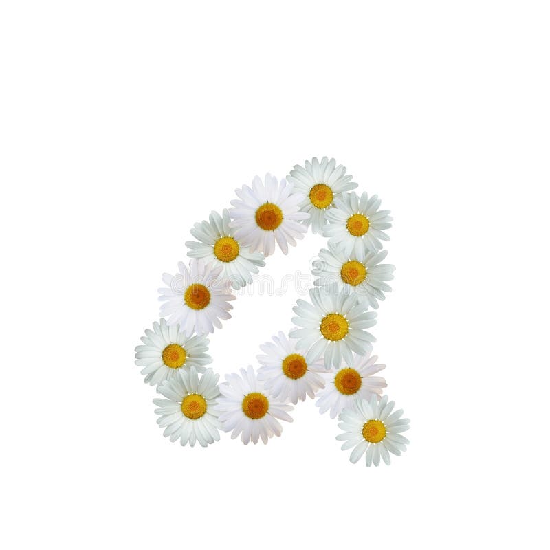 Daisy Letter a stock illustration. Illustration of name - 85439931