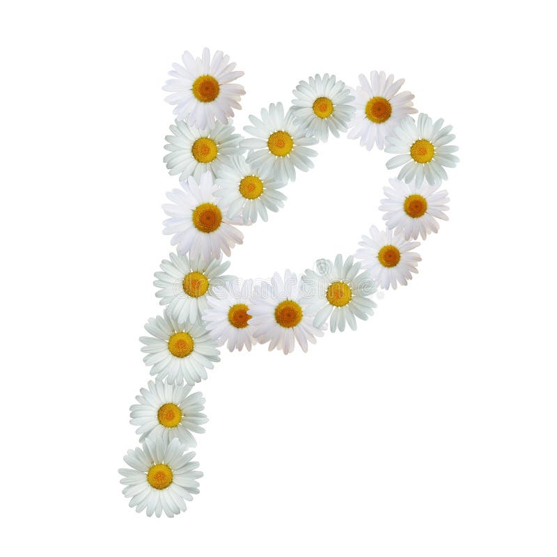 Daisy Letter P stock illustration. Illustration of daisy - 85439941