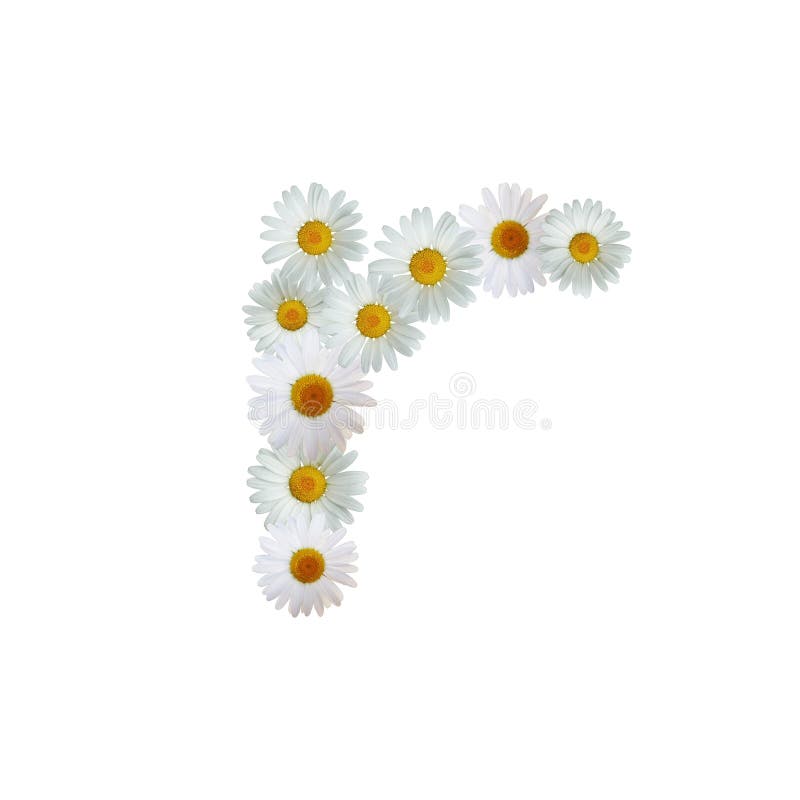 Daisy Letter R stock illustration. Illustration of decoration - 85439994