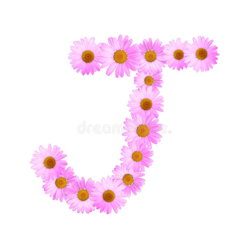 Daisy Letter H stock de ilustración. Ilustración de variedad - 85439963