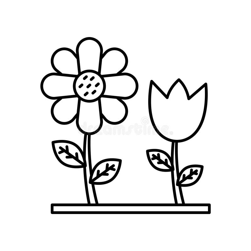 Daisy Line Style Vector Icon Which Can Easily Modify or Edit Stock ...
