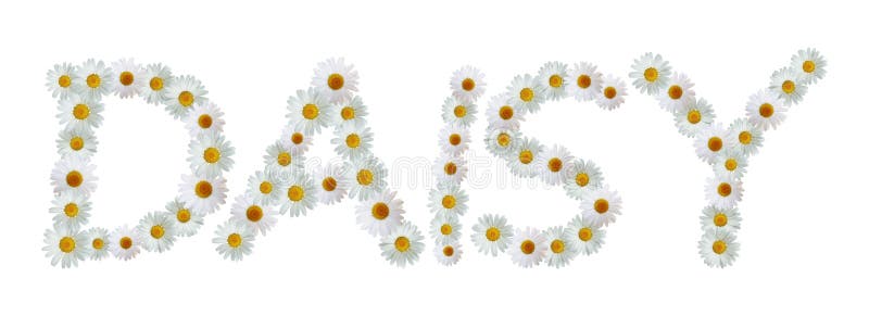 Daisy Name ilustração stock. Ilustração de bonito, menina - 85440329
