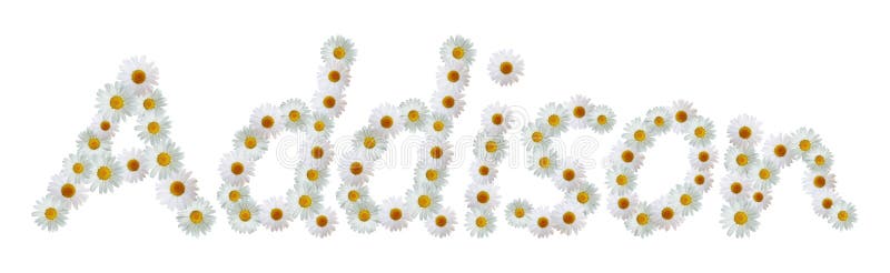 Addison Stock Illustrations – 198 Addison Stock Illustrations, Vectors ...