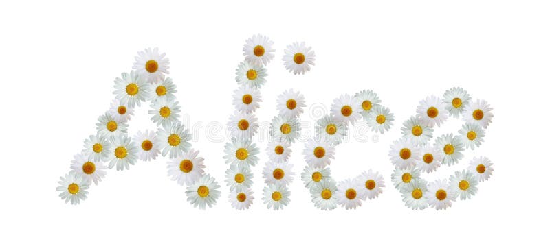 Alice Flower Name stock photo. Image of daisy, decoration - 85439492