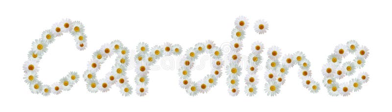 Name Caroline Stock Illustrations – 79 Name Caroline Stock ...