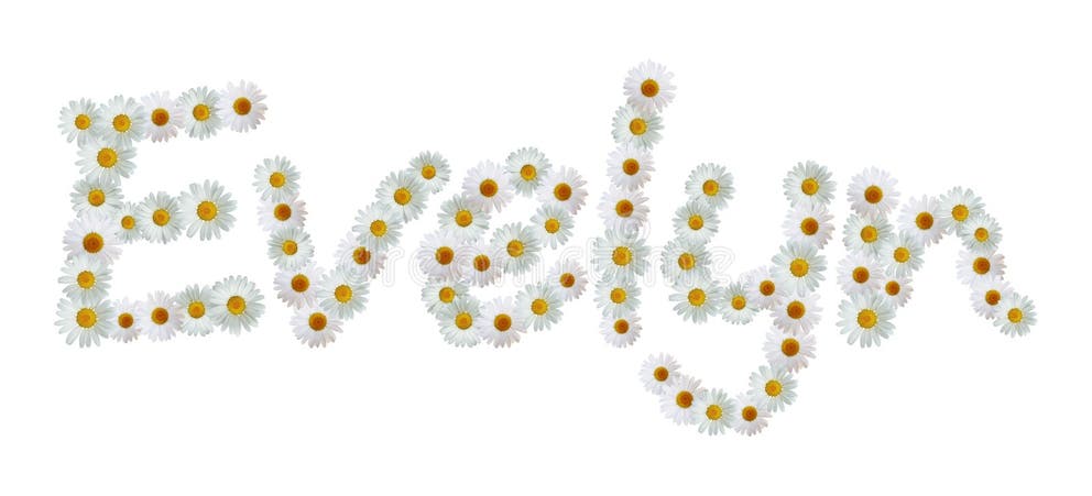 Daisy Name Evelyn ilustração stock. Ilustração de naughty - 85440518