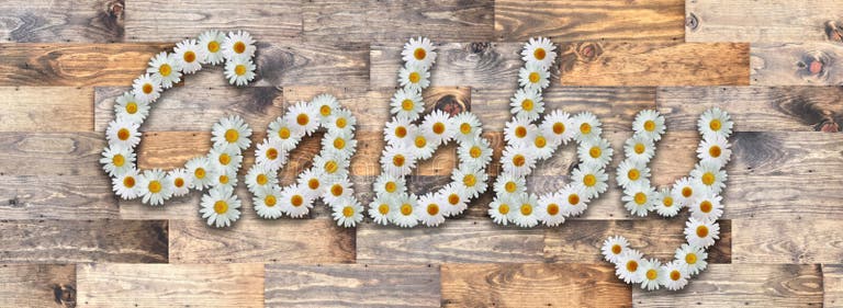 Daisy Name Gabby Wood Background Stock de ilustración - Ilustración de ...