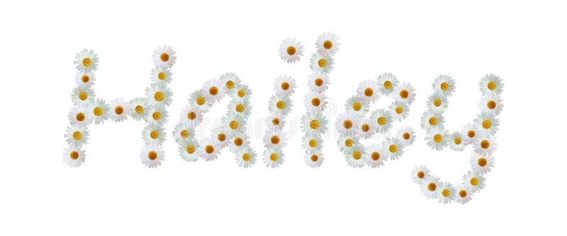 Hailey Stock Illustrations – 70 Hailey Stock Illustrations, Vectors ...