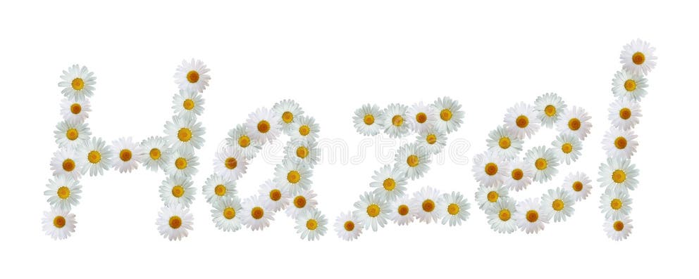 Daisy Name Hazel ilustração stock. Ilustração de bandeira - 85440657