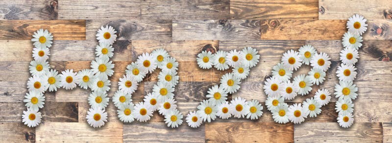 Daisy Name Hazel Wood Background Ilustração Stock - Ilustração de ...