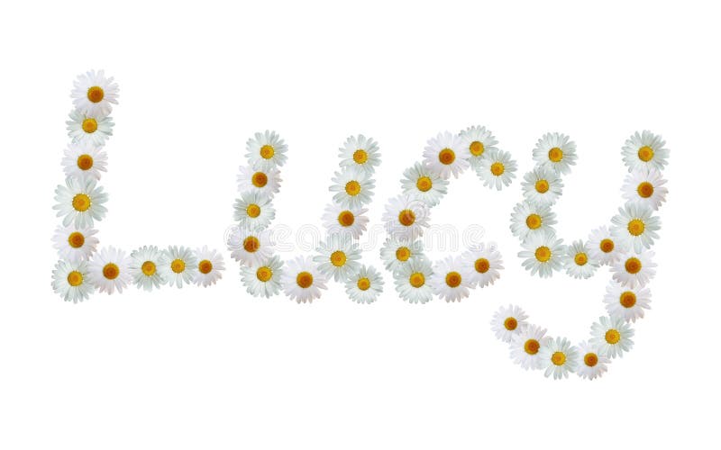 Daisy Name Lucy stock illustration. Illustration of bloom - 85440516