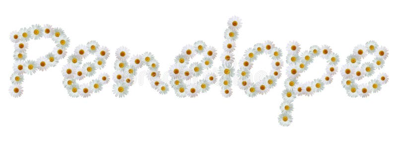 Penelope stock vector. Illustration of pimp, beauty, print - 30635932