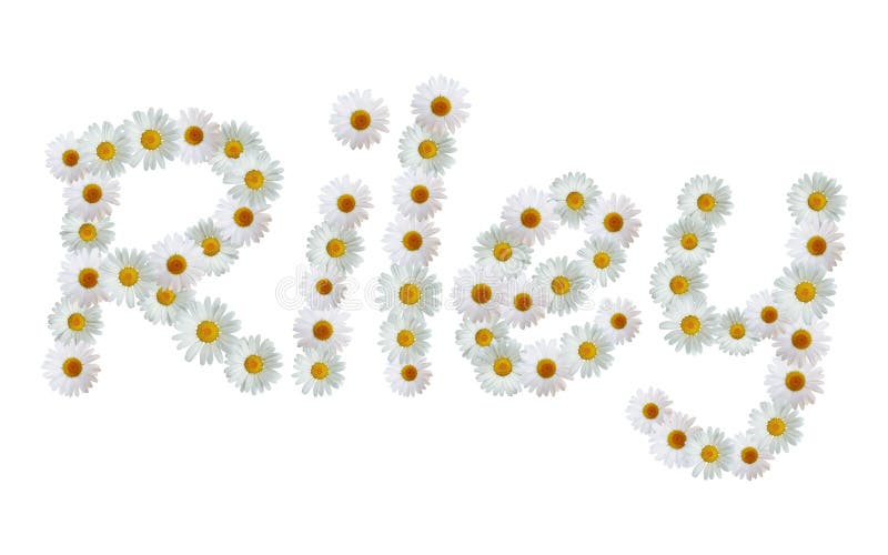 Daisy Name Riley stock abbildung. Illustration von alphabet - 85440796