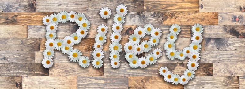 Daisy Name Riley Wood Background Stock de ilustración - Ilustración de ...