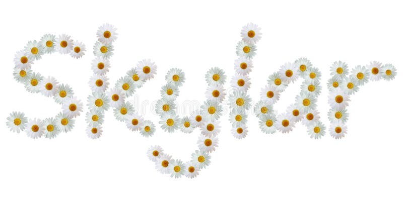 Skylar Stock Illustrations, Vecteurs, & Clipart – (7 Stock Illustrations)