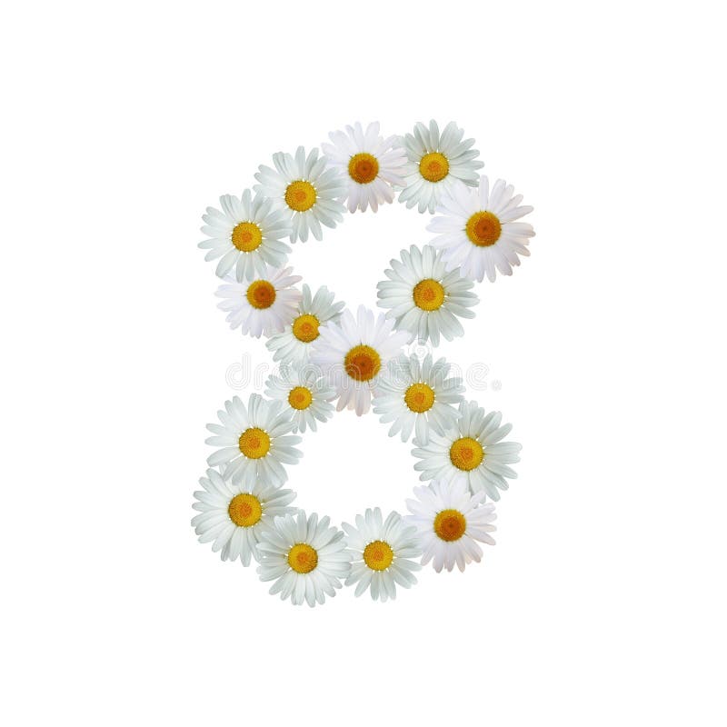 Daisy Number Five stock illustration. Illustration of daisy - 85440025