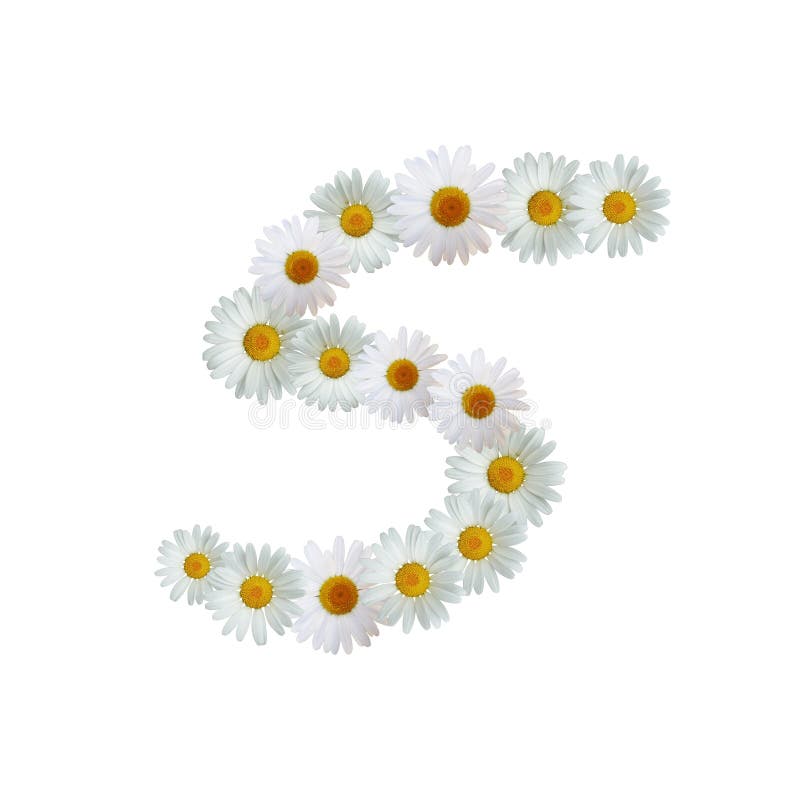 Daisy Number Five stock illustration. Illustration of daisy - 85440025