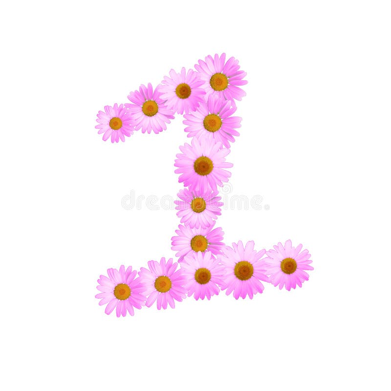 Daisy Number One Cor-de-rosa Ilustração Stock - Ilustração de nantes ...