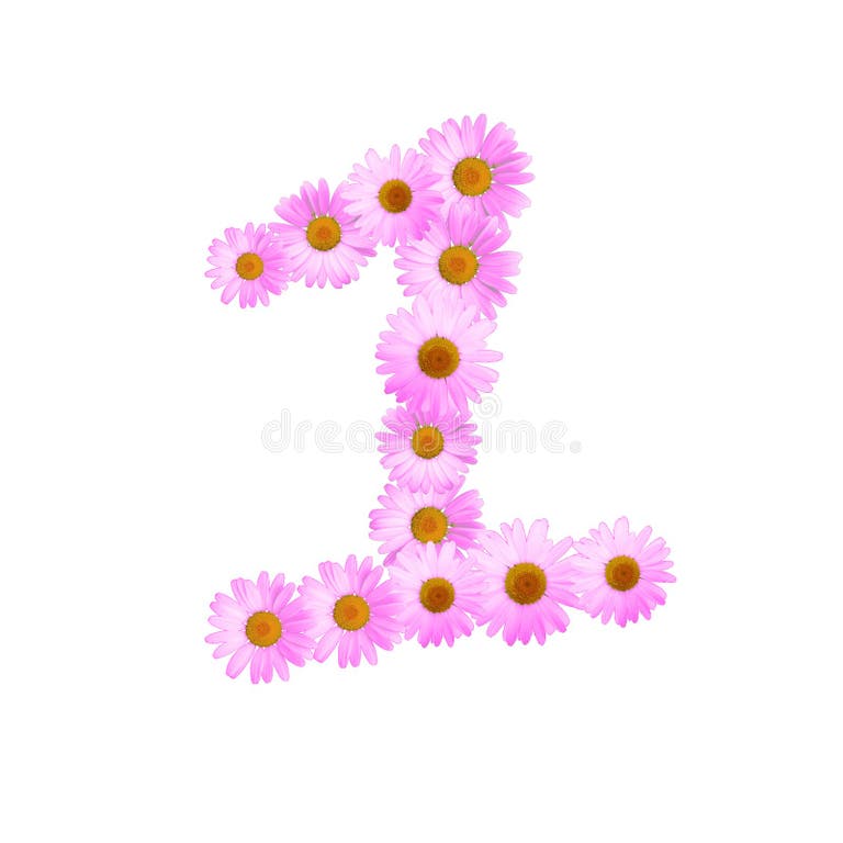 Daisy Number One Cor-de-rosa Ilustração Stock - Ilustração de nantes ...