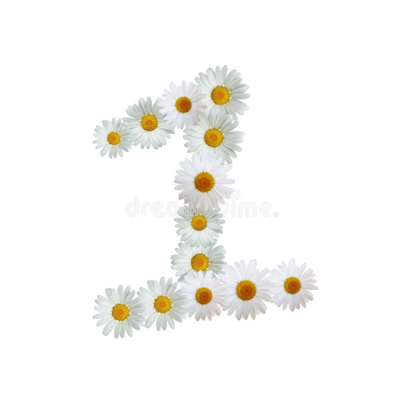 Daisy Number Five stock illustration. Illustration of daisy - 85440025