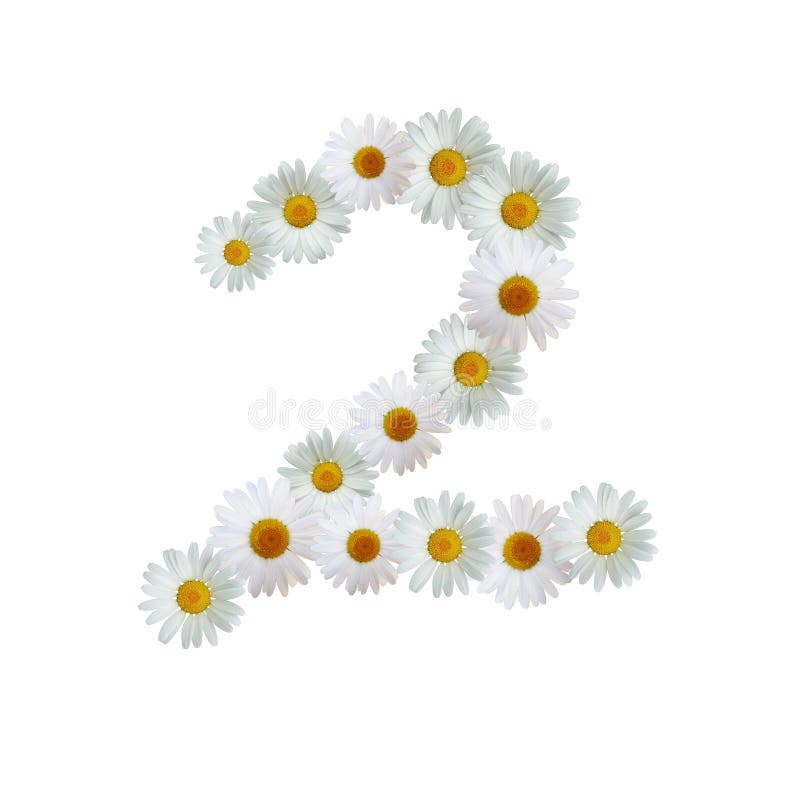 Daisy Number Five stock illustration. Illustration of daisy - 85440025