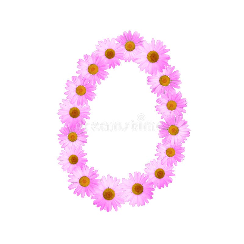 Daisy Number Zero Cor-de-rosa Ilustração Stock - Ilustração de isolado ...