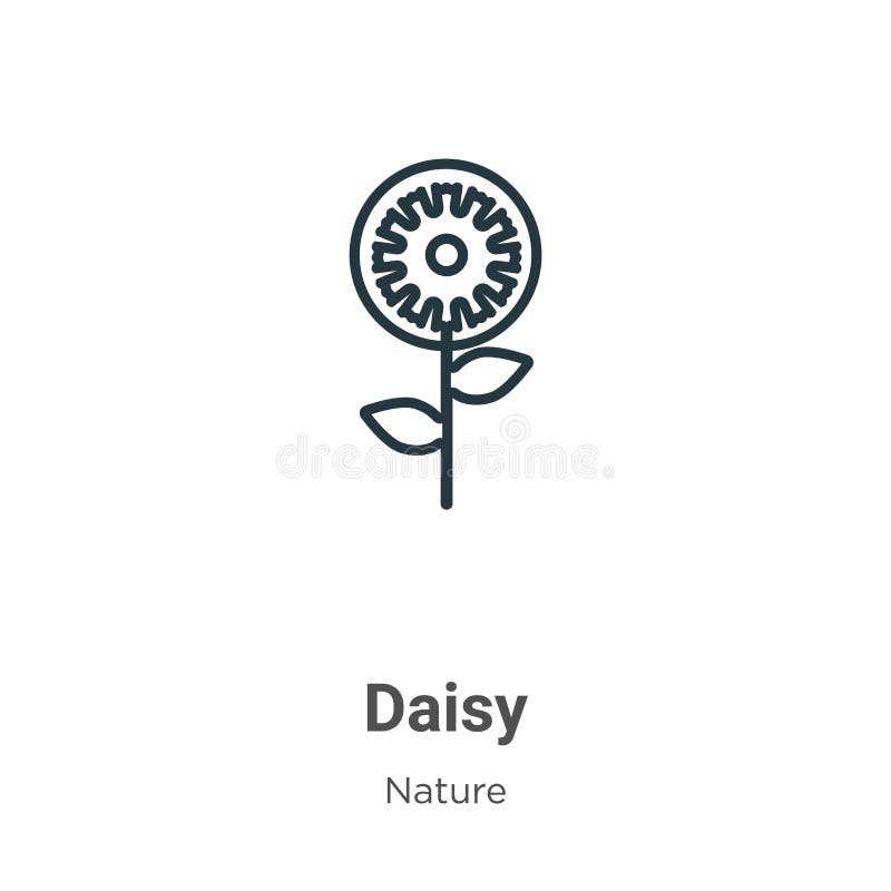Daisy Outline Vector Icon. Thin Line Black Daisy Icon, Flat Vector ...