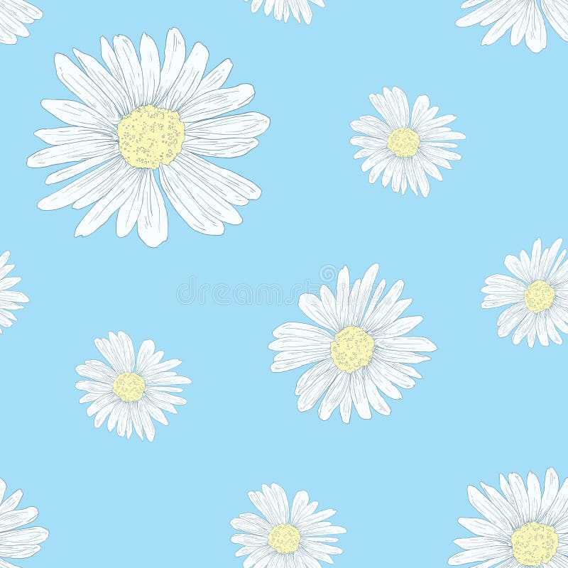 Daisy pattern stock vector. Illustration of flower, drawn - 89972291