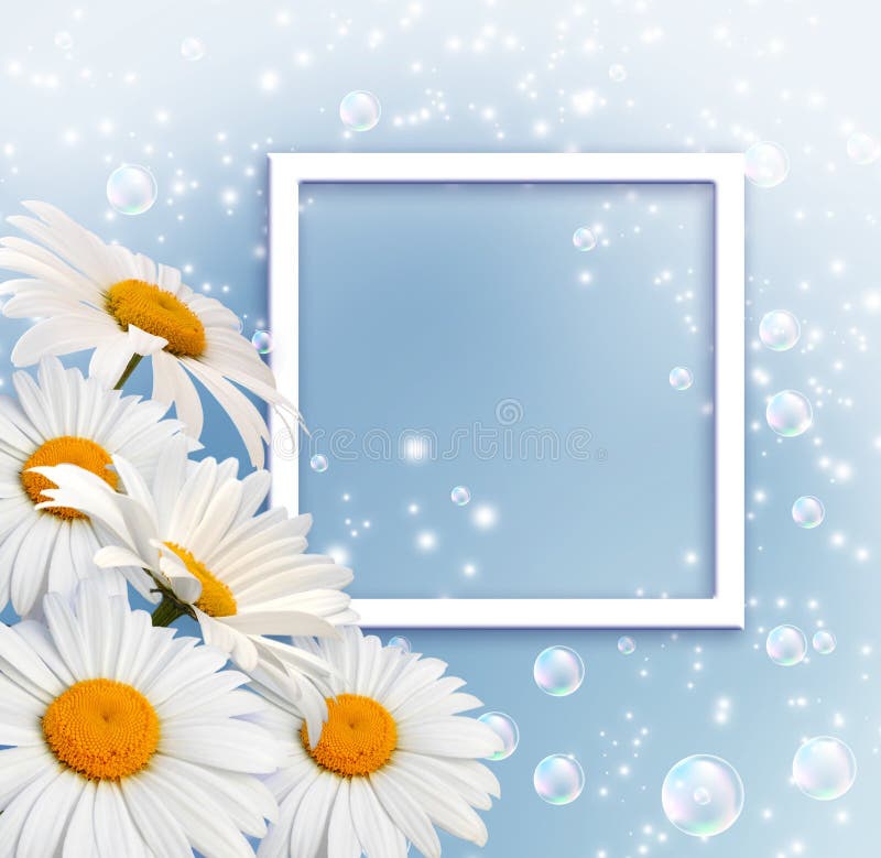 Daisy and photo frame stock photo. Image of bloom, blue - 52978902