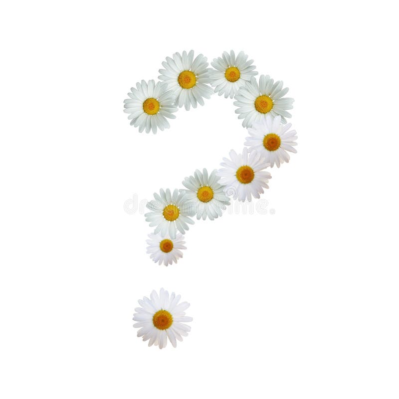 Question Mark Flowers Stock Illustrations – 130 Question Mark Flowers ...
