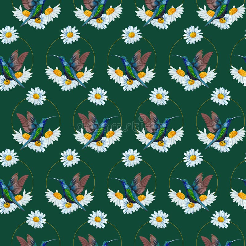 Daisy Round Frame and Birds, Seamless Pattern Stock Illustration ...