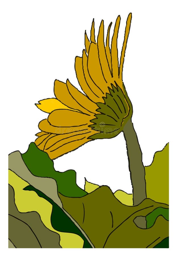 Daisy spring stock vector. Illustration of intuos, branch - 52338839