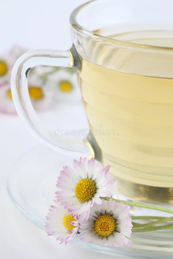 Daisy tea stock photo. Image of refreshment, yellow, diet - 14502226