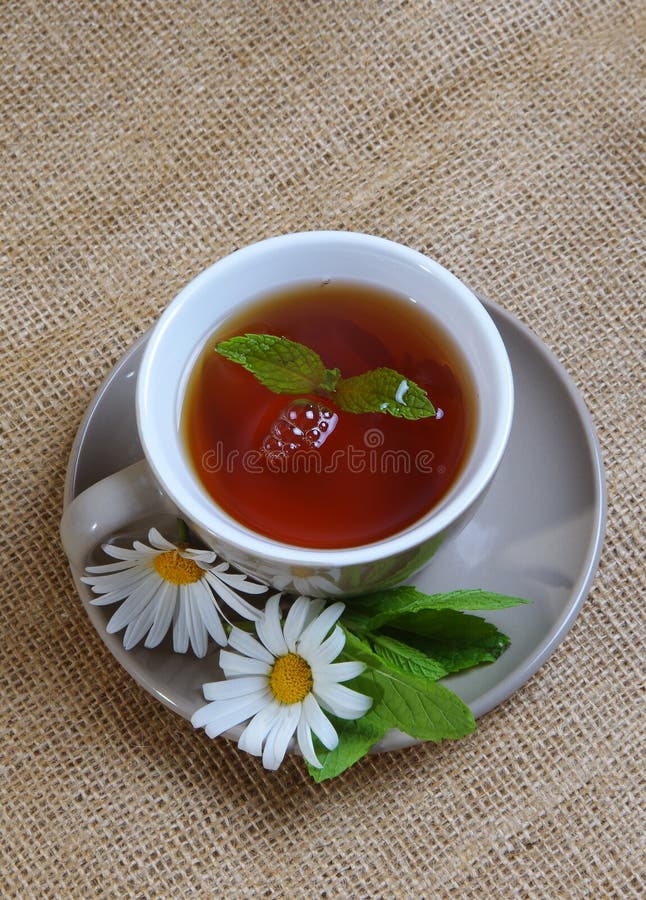 Daisy tea stock photo. Image of health, food, herbal - 48389342