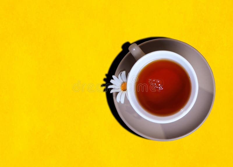 Daisy tea on the yellow stock photo. Image of calmness - 164575482