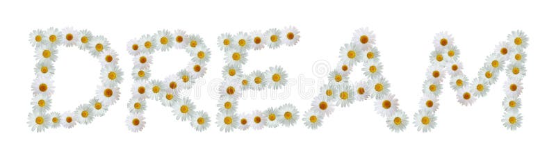 Daisy Word Love stock illustration. Illustration of flora - 85440565