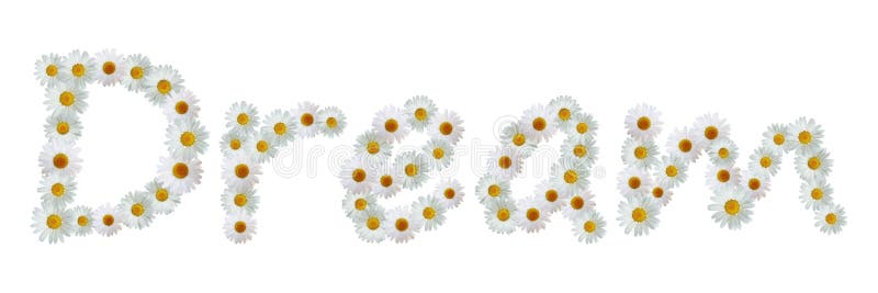 Daisy Word Dream stock illustration. Illustration of blossom - 85440361