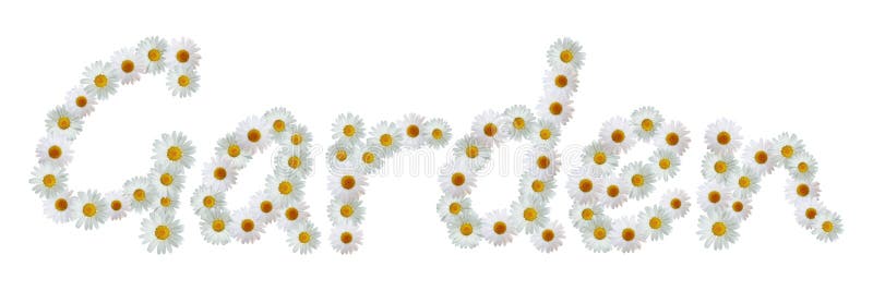 Daisy Word Dream stock illustrationer. Illustration av blomma - 85440361