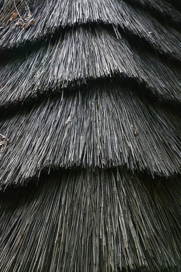 Met stro bedek Dak stock afbeelding. Image of achtergrond - 22961379